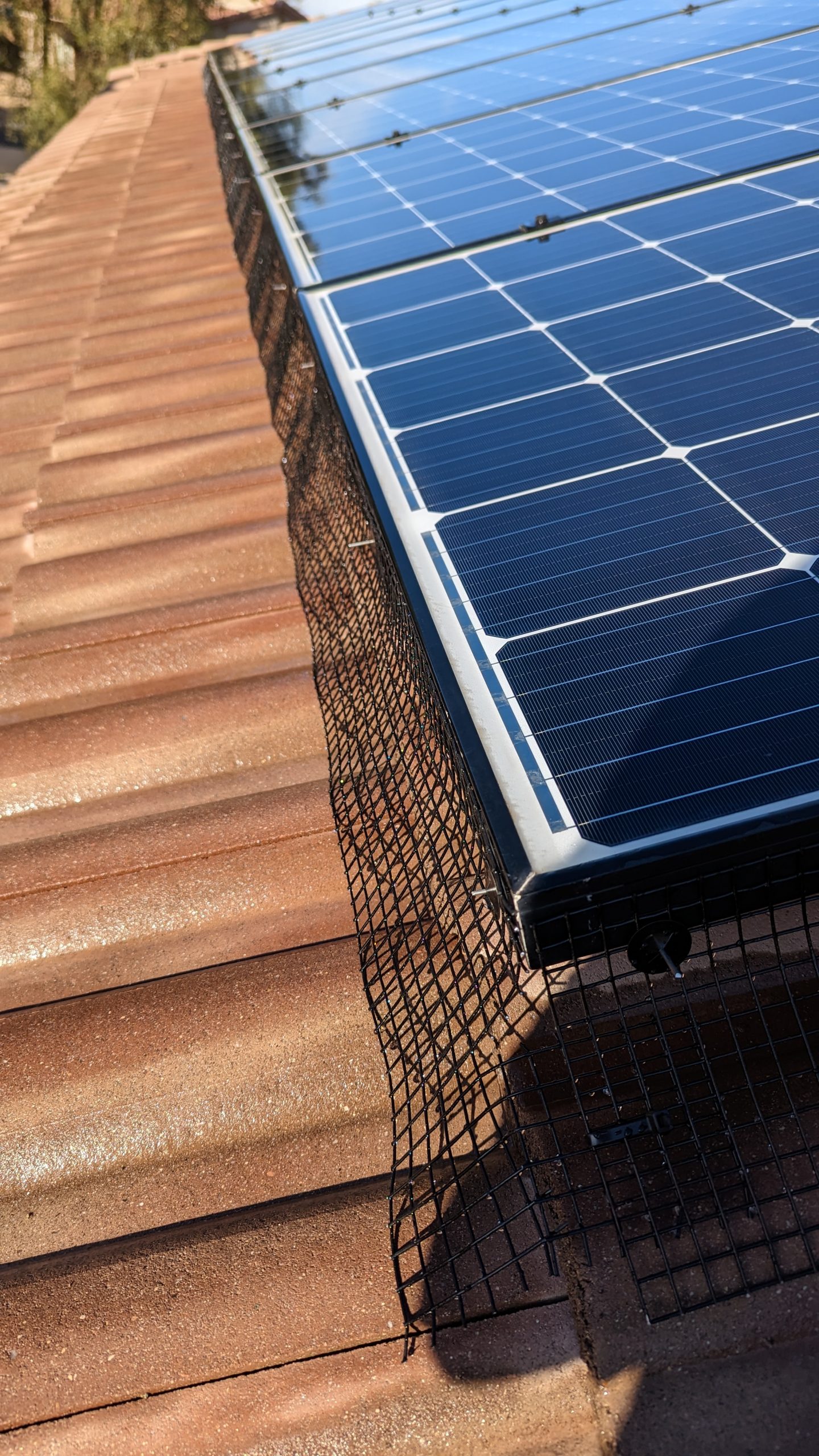 Gallery - Phx Solar Gleam N Clean